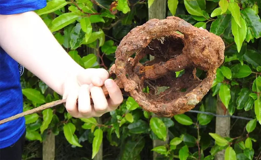 Il ragazzo di 10 anni ha trovato una vecchia spada con un rilevatore di metallo