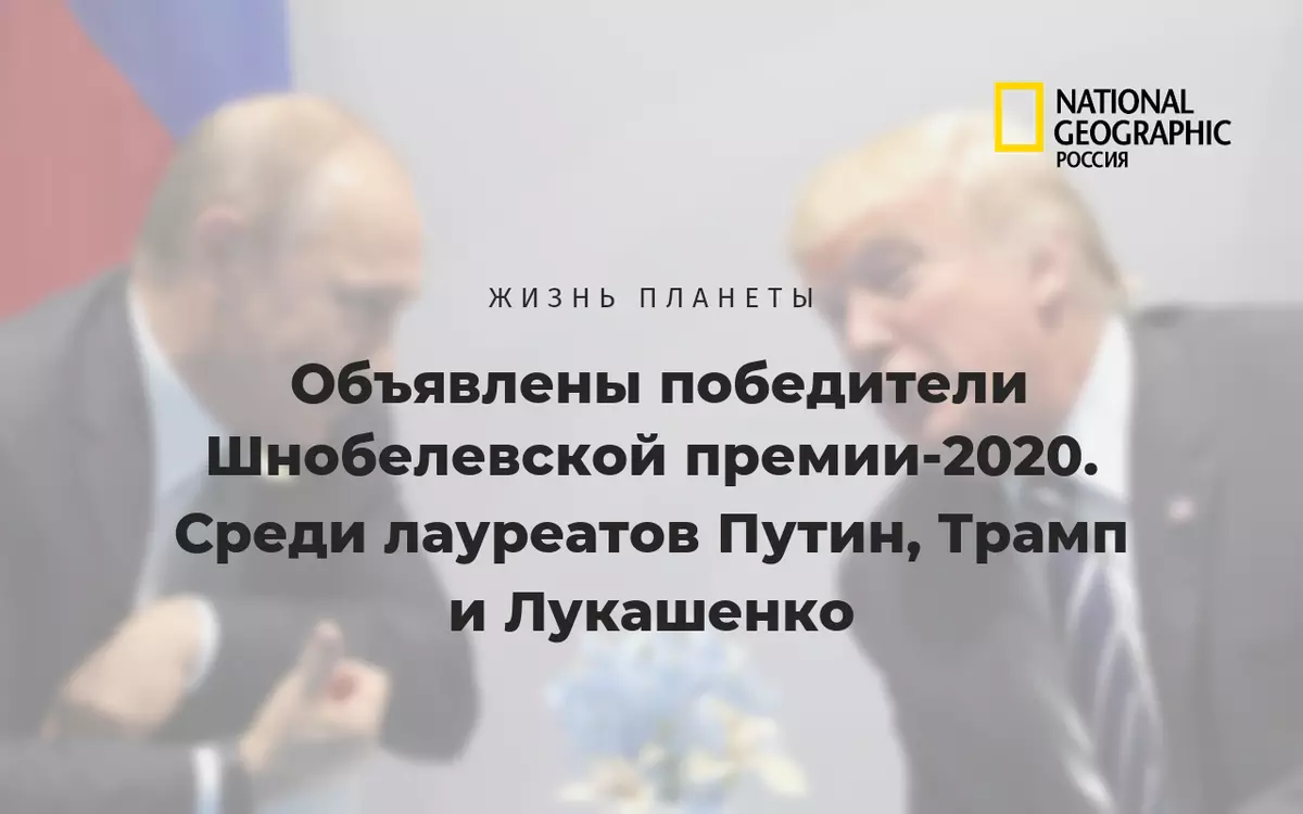 Cov yeej ntawm Schnobel nqi zog-2020 tau tshaj tawm. Ntawm cov Laureates Putin, Trump thiab Lukashenko