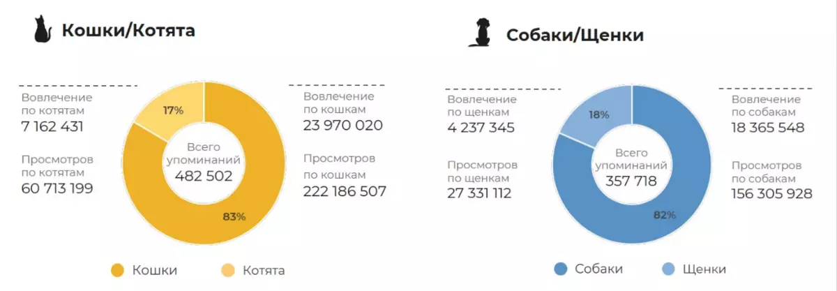 Shot ekran 2020-10-21 në 19.53.57.png