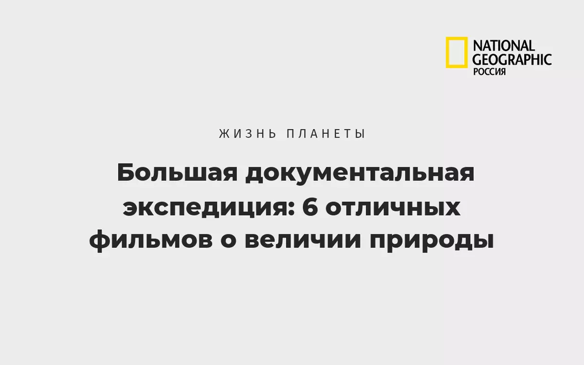 Ири документалдык экспедиция: Табияттын улуулугу жөнүндө мыкты фильмдер