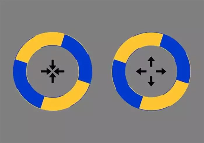 Optical illusion: mystery of moving circles