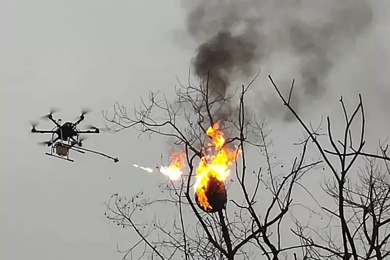 Di Cina, masins dari sarang terbakar dengan drone: video