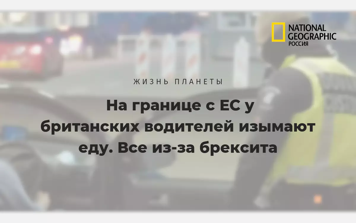 На мяжы з ЕС у брытанскіх кіроўцаў адбіраюць ежу. Усё з-за брексита