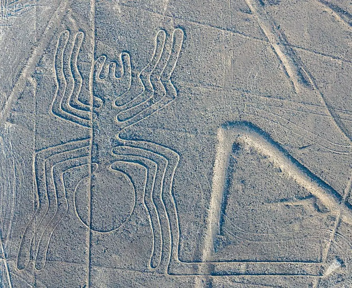 Hvad er de mystiske geoglyffer i nativiteten: ny version