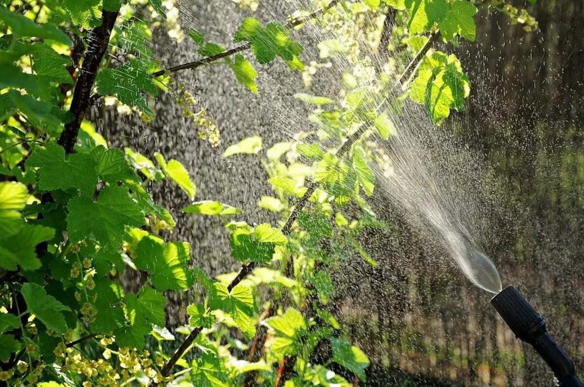 نحوه استفاده از آب سازگار با محیط زیست: 10 راهنمایی ساده