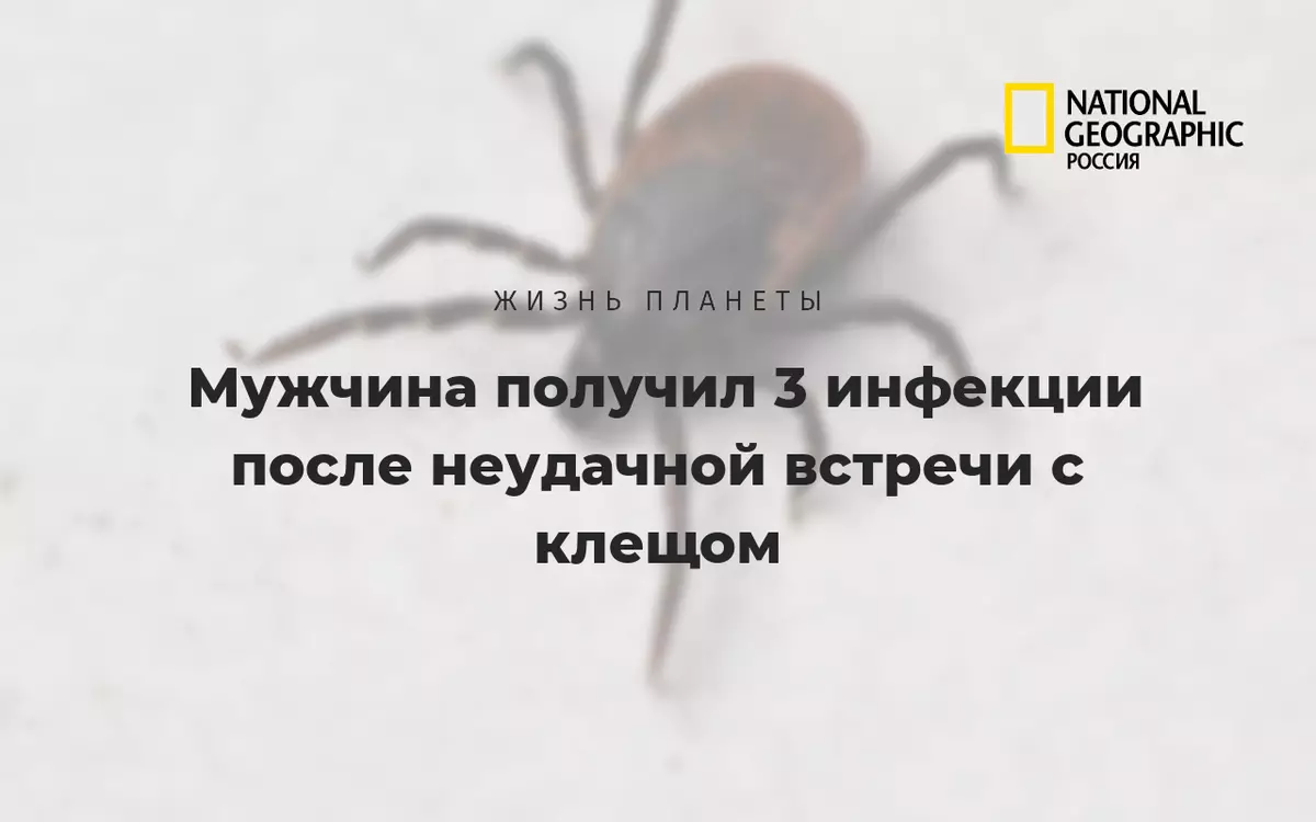 ஒரு டிக் ஒரு தோல்வியுற்ற சந்திப்புக்குப் பிறகு அந்த மனிதன் 3 நோய்த்தாக்கங்களைப் பெற்றார்