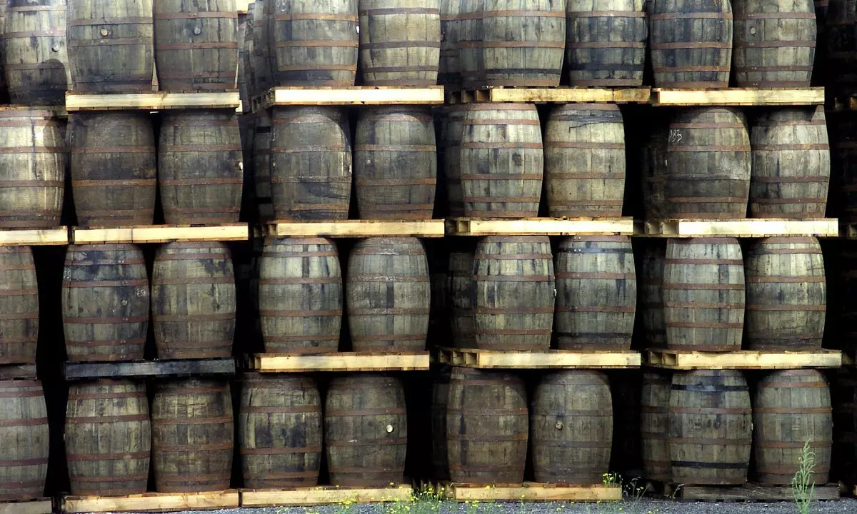 Planz fir d'Produktioun vu Whisky rekrutéiert Cocker spaniel. Hie gëtt fir Mängel an Fässer Sich