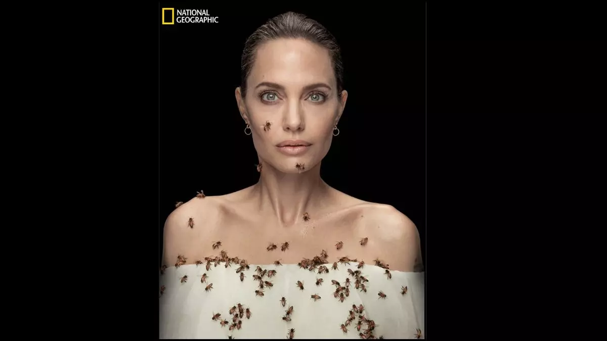 Angelina Jolie: Sabuwar ƙudan zuma na Allian - da mata masu kudan zuma