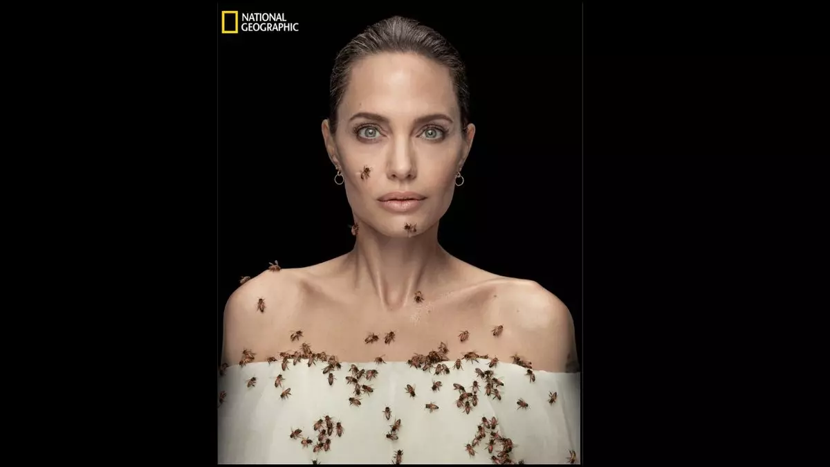 Angelina Jolie: New Allian Bees - and Women's Beekeepers