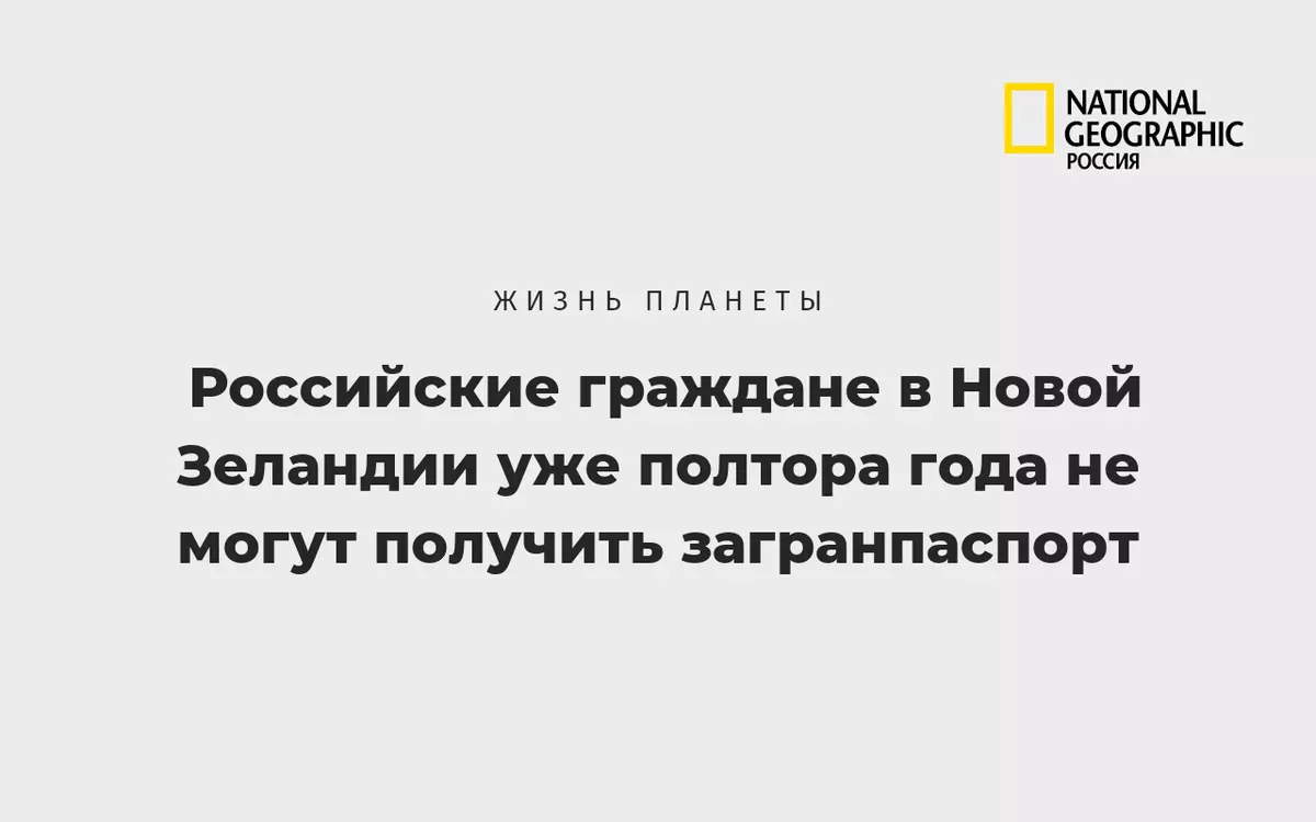 Жаңы Зеландиядагы Россиянын жарандары мындан ары паспорт ала албайт