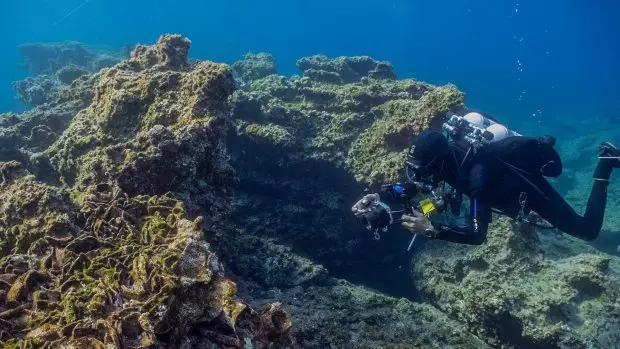 A cikin Tekun AEGEAN Tekun da aka samo wuraren da suka yi