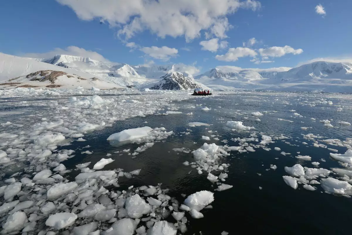 אנטארקטיקע: פּאַסירונג פֿאַר לעבן