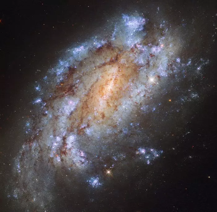 Ngc 1559: tib lub galaxy