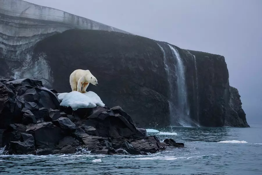 Isi ihe omimi nke Russian Arctic