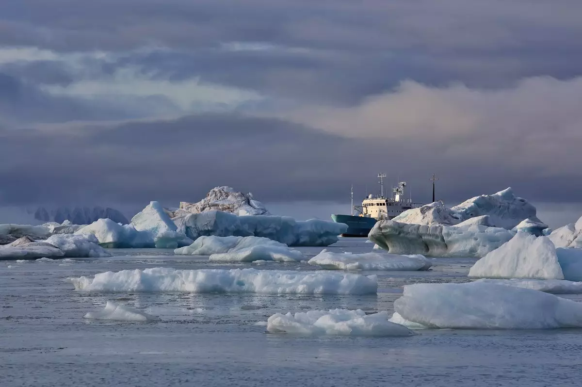 Lostasar da aka rasa na Arctic Arctic