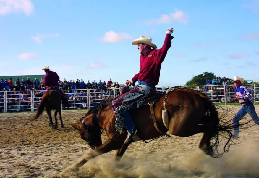 Australian Rodeo.