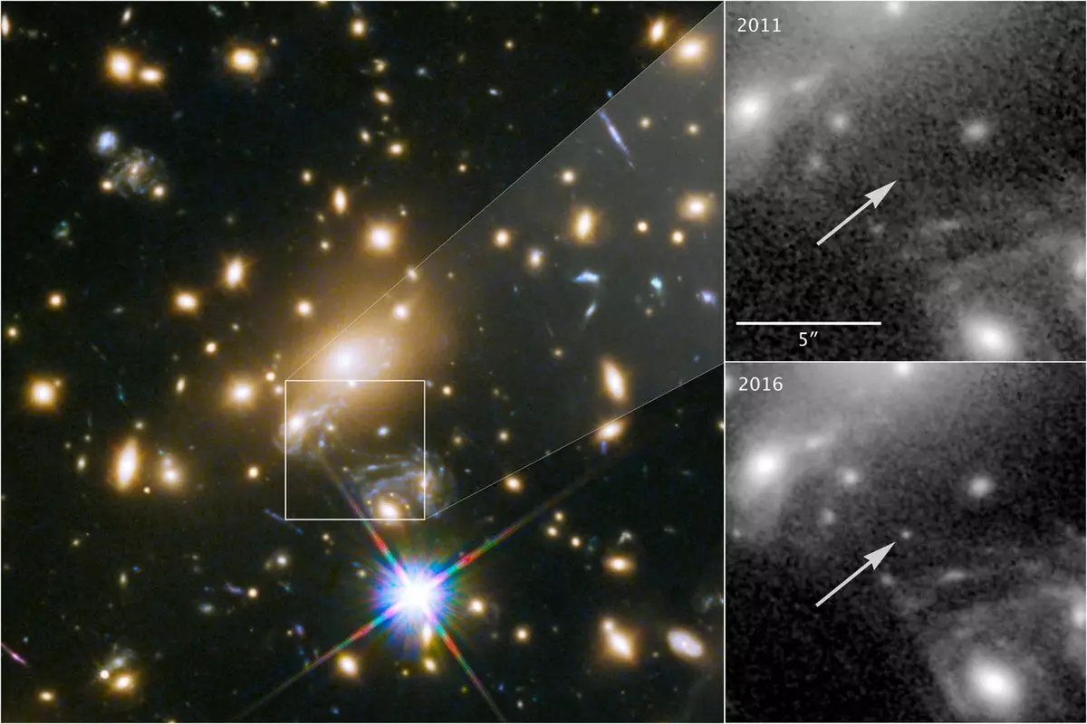 El estrelles es troba en tots els de la terra?