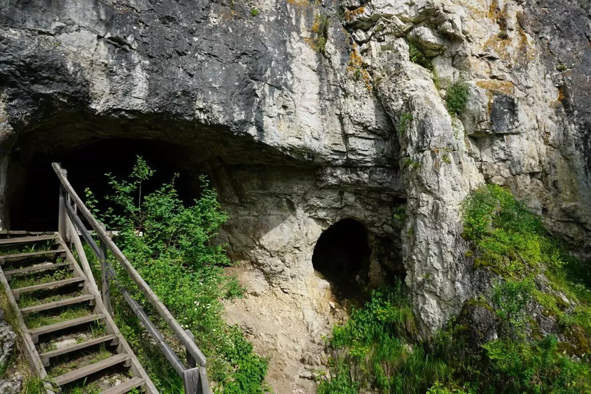 ڈینیسکایا غار میں بنیادی طور پر Hyenas اور بھیڑیوں میں رہتا تھا