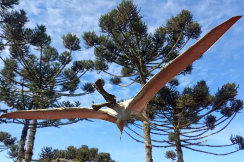 Iron Dragon: i Australien, hittade en ny typ av pterosaur