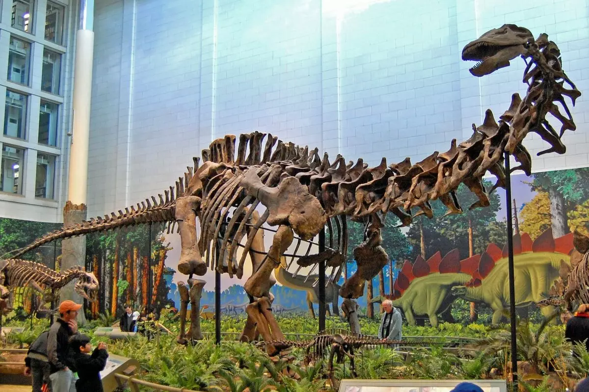 V meste Burytia našli pozostatky obrovského dinosaura