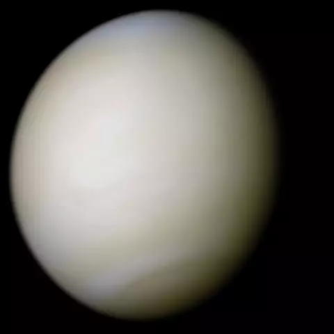 Venus-റിയൽ_കലോർ.ജെപിജി.