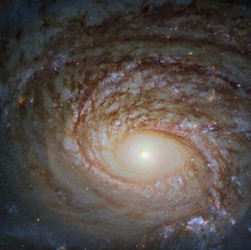 "Hubble" Galaxy Spiral Spiral rakirin. Û ew mîna awayek şîrê xuya dike!