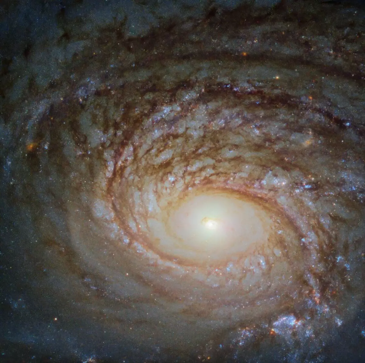 Spiralgalaxie NGC 772. Foto: ESA / HUBBLE & NASA, A. Seth et al.