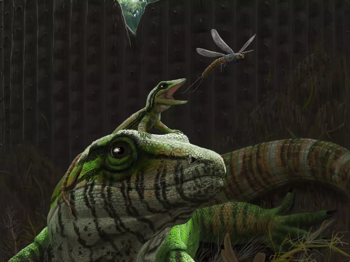 Forntida maternal oro: Fossil Lizard försökte skydda cuben före döden