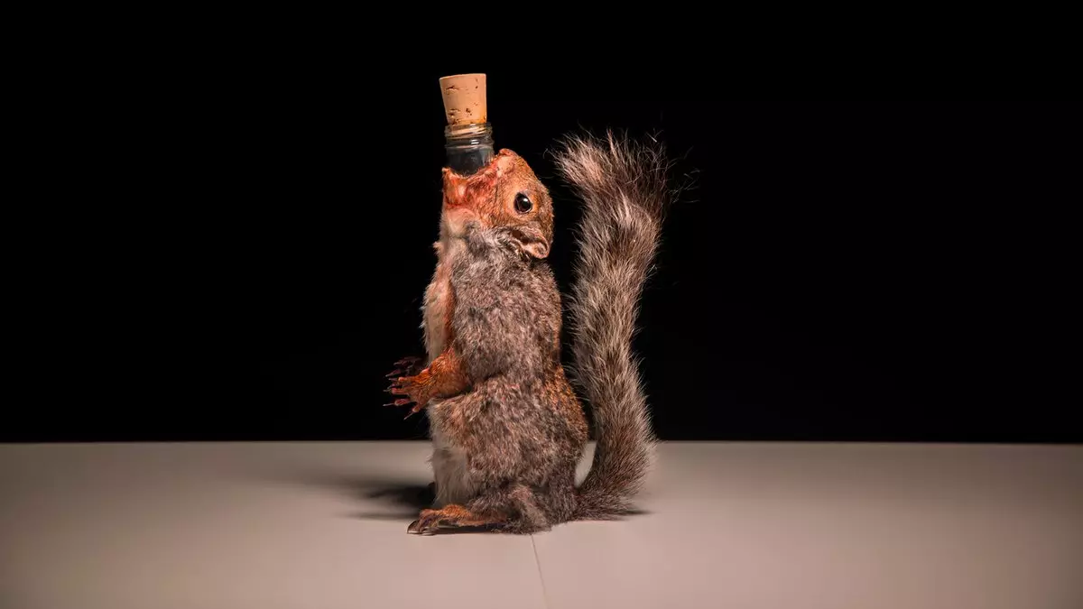 Bier in Eichhörnchen und Gin auf Ameisen: Museum des bösen Essens selbst erfüllte seine Sammlungsgetränke