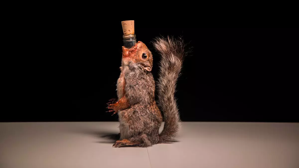 Cerveja de esquilo e gim em formigas: Museu do desagradável alimentos em si reabastecido suas bebidas de coleta