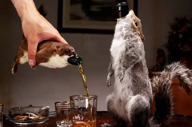 squirrelbeer.jpg.