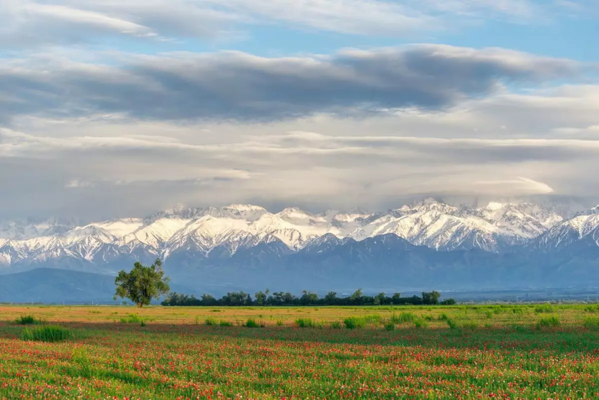 Chúng tôi mời đến việc mở triển lãm ảnh "Kazakhstan - đất nước của thảo nguyên vĩ đại"