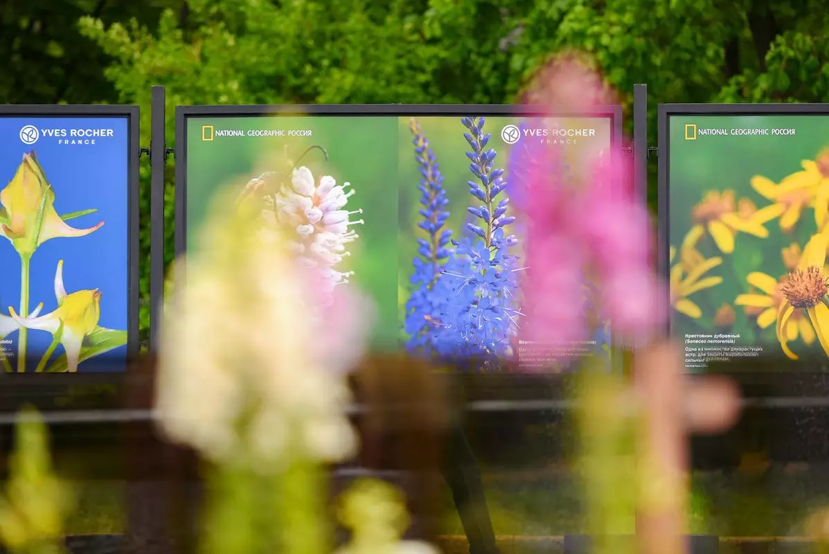 National Geographic Russia und "Yves Roshe" eröffnete eine Fotoausstellung in Sokolniki Park