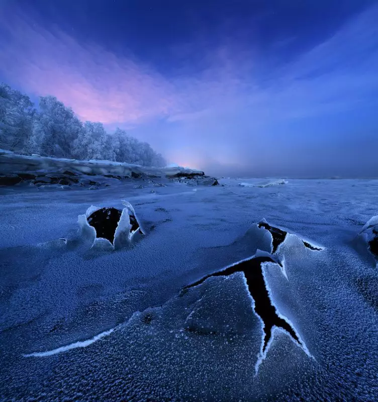 V Novosibirsku byla otevřena výstava fotografií "Wildlife of Russia"