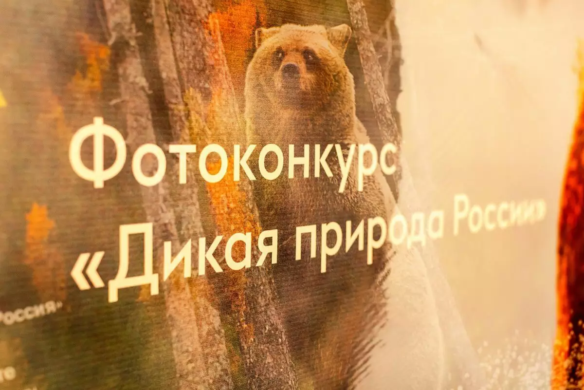 Fotografie výstava "Wildlife of Russia" otvorená v Kemerovom