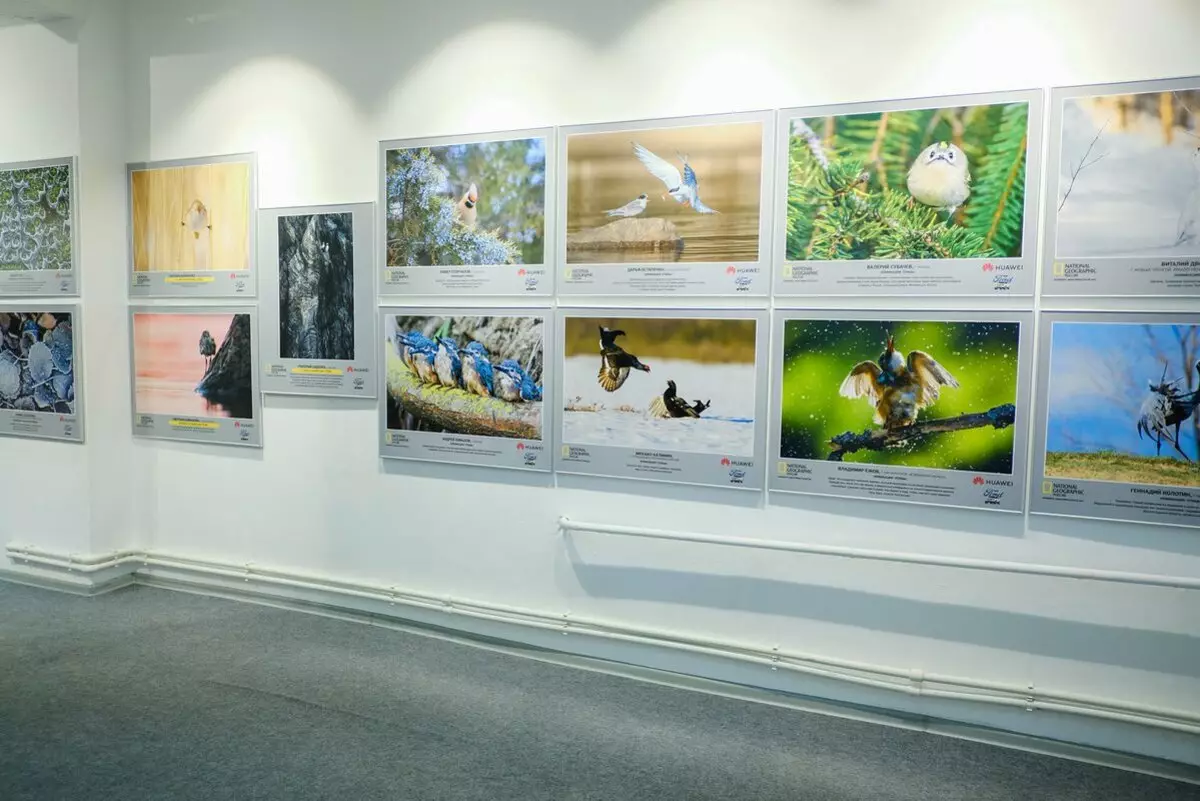 В Новосибирск, фотоизложба "Wildlife на Русия" бе открит. Чакаме за всички!