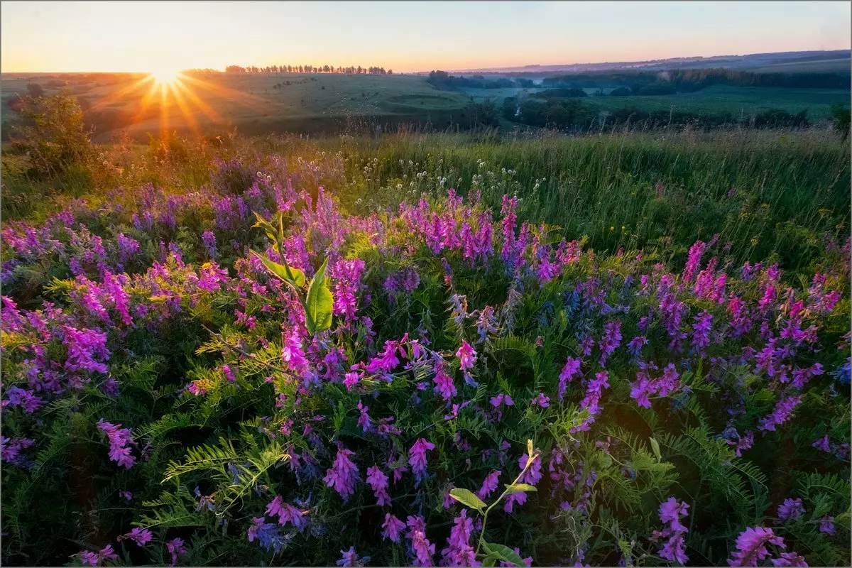 Von Sonnenuntergang bis Sonnenaufgang: Geheimnisse der Landschaft Verarbeitung