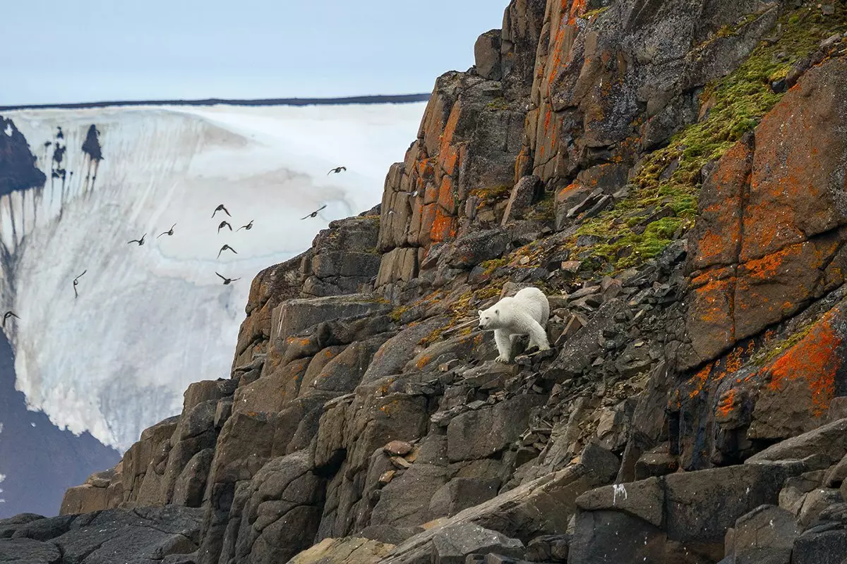 Climber and other photos of the week