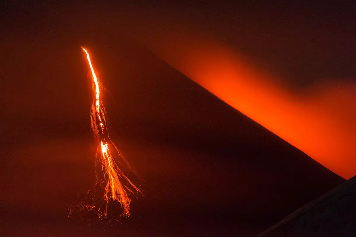 Fire braid and other photos of the week