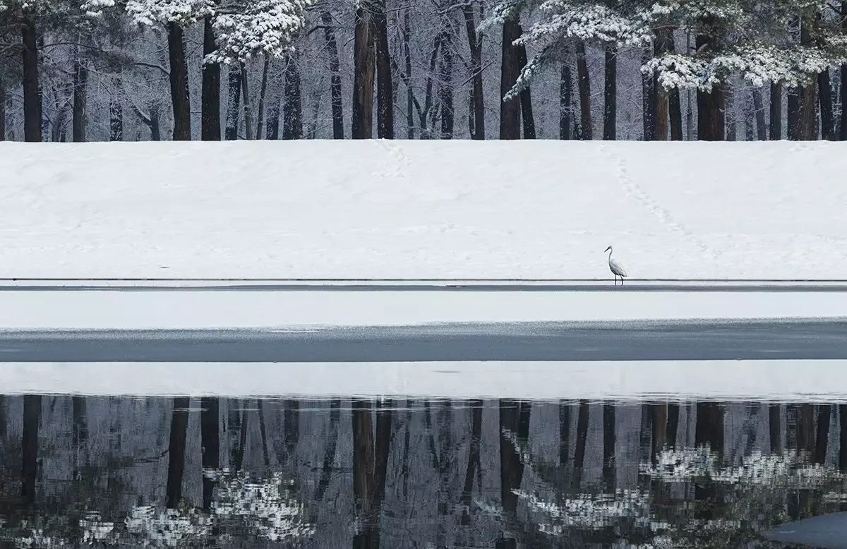 Neočekivani gost i ostale fotografije tjedna