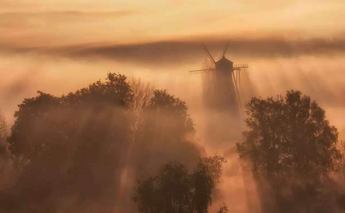 Guàrdia brumosa i altres fotos de la setmana