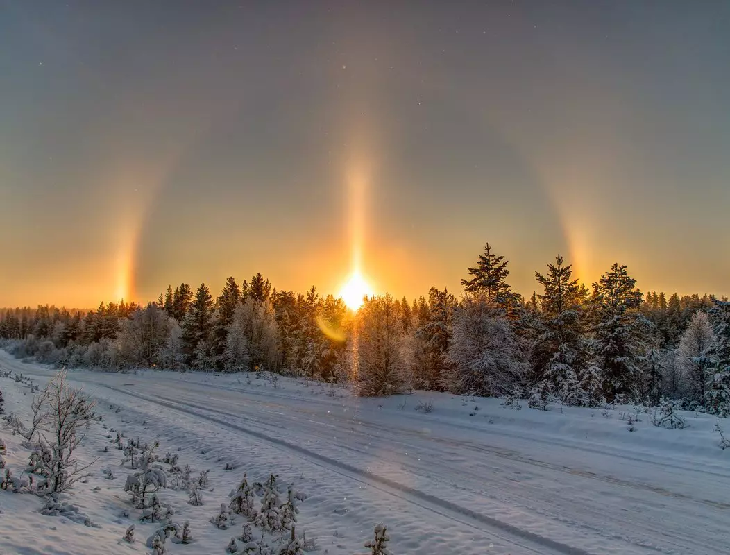 Gozdni halo in druge fotografije tedna