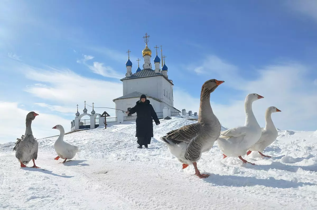 Провинциски балет и други фотографии од неделата