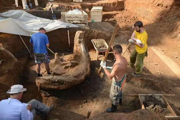 Excavations 2018 Tile.jpg.