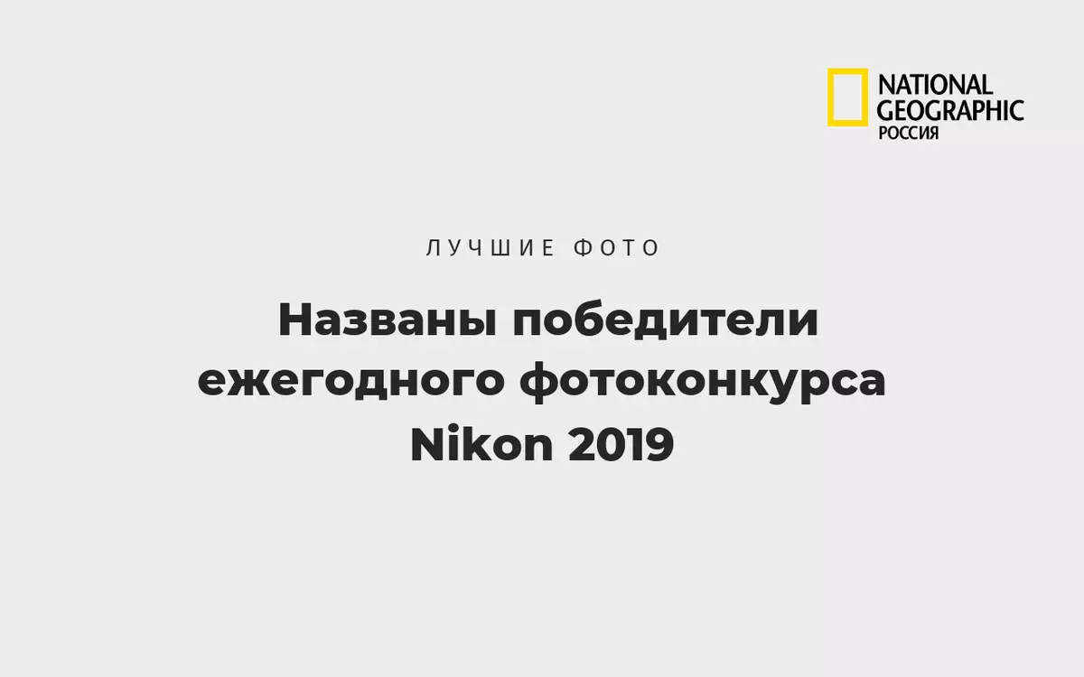 ዓመታዊ ፎቶ ውድድሩ Nikon 2019 መካከል አሸናፊዎች የሚባል ነው