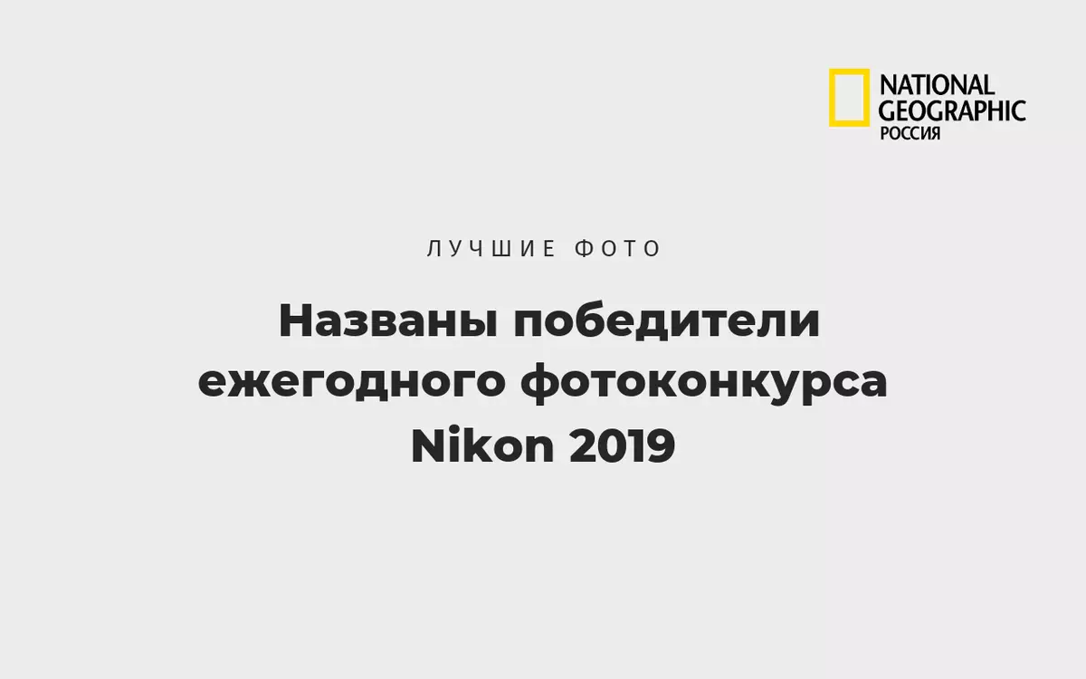 Pemenang kontes foto taunan Nikon 2019 dijenengi