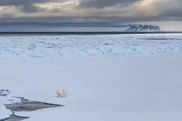 Einsamkeit der Arktis
