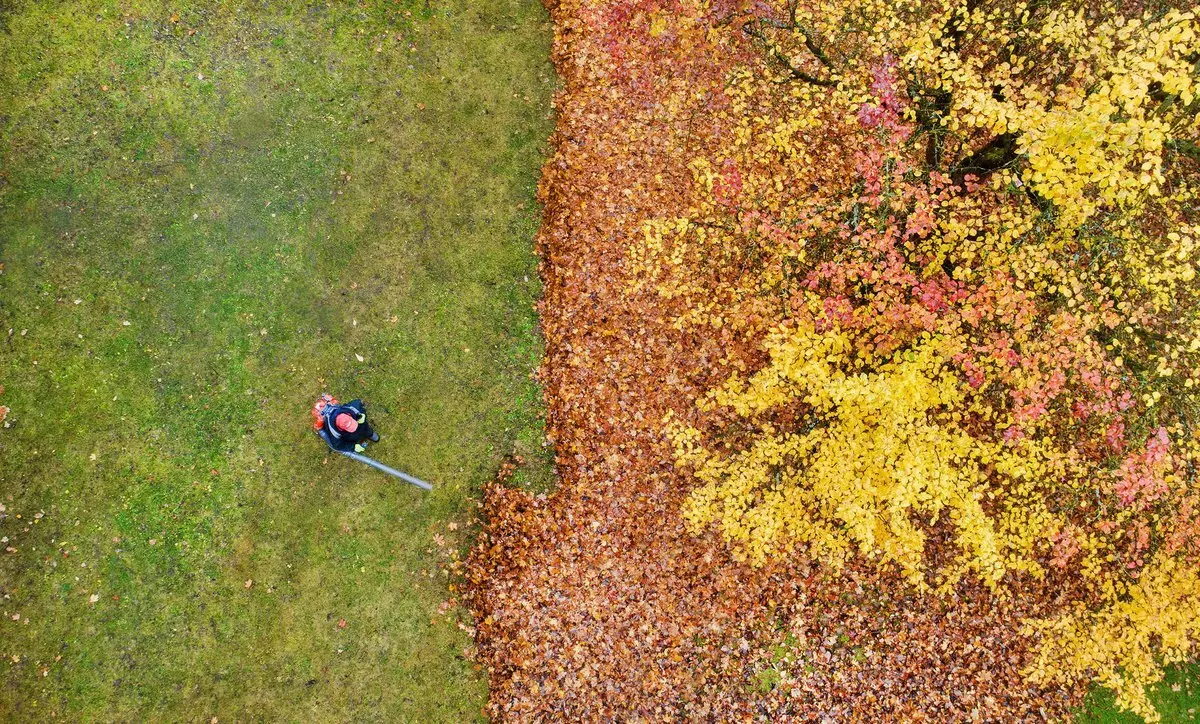 "Eine Person, die den Herbst aufhalten wollte" und andere Fotos der Woche