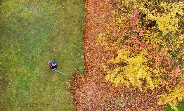 Aŭtuno, Tallinn, Park. Ksenia Shabanova