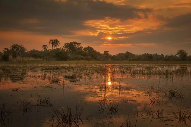 Domalga Oleg_Zakat in Delta Ocavangano_Botsvan